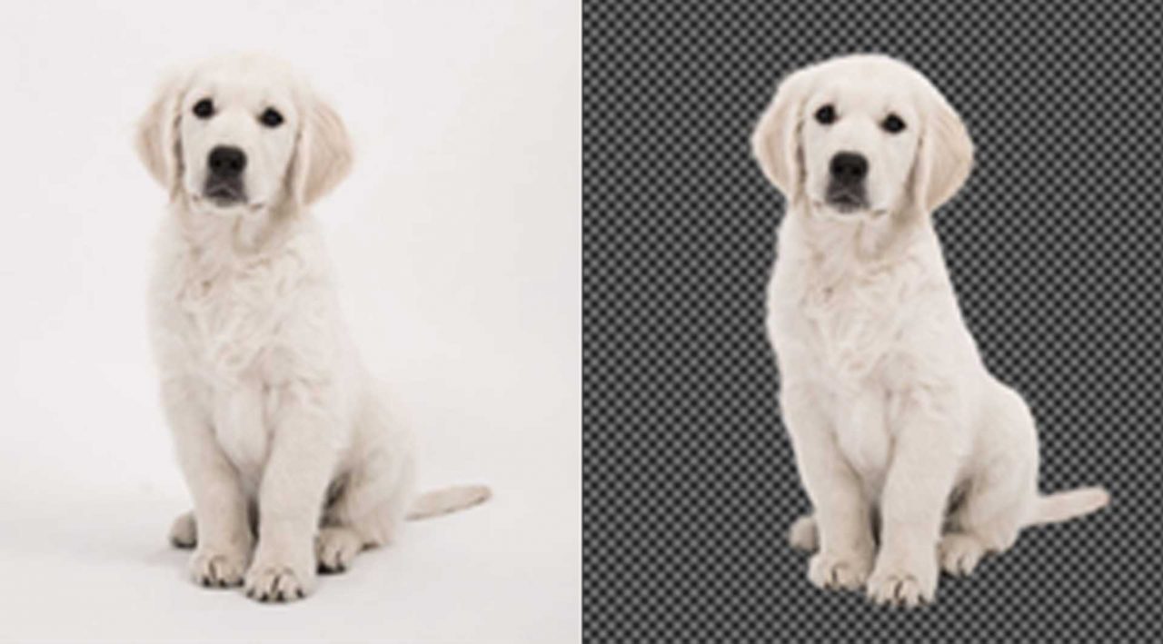 Photoshop Experts | Professional Adobe Photoshop Company